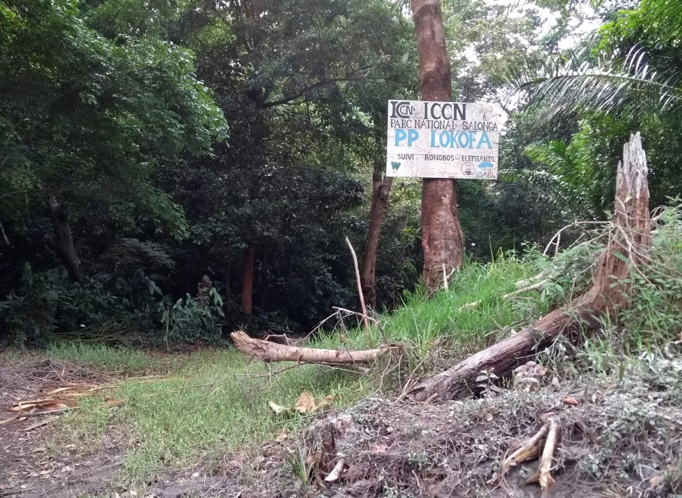 The Park - Salonga National Park – Salonga National Park
