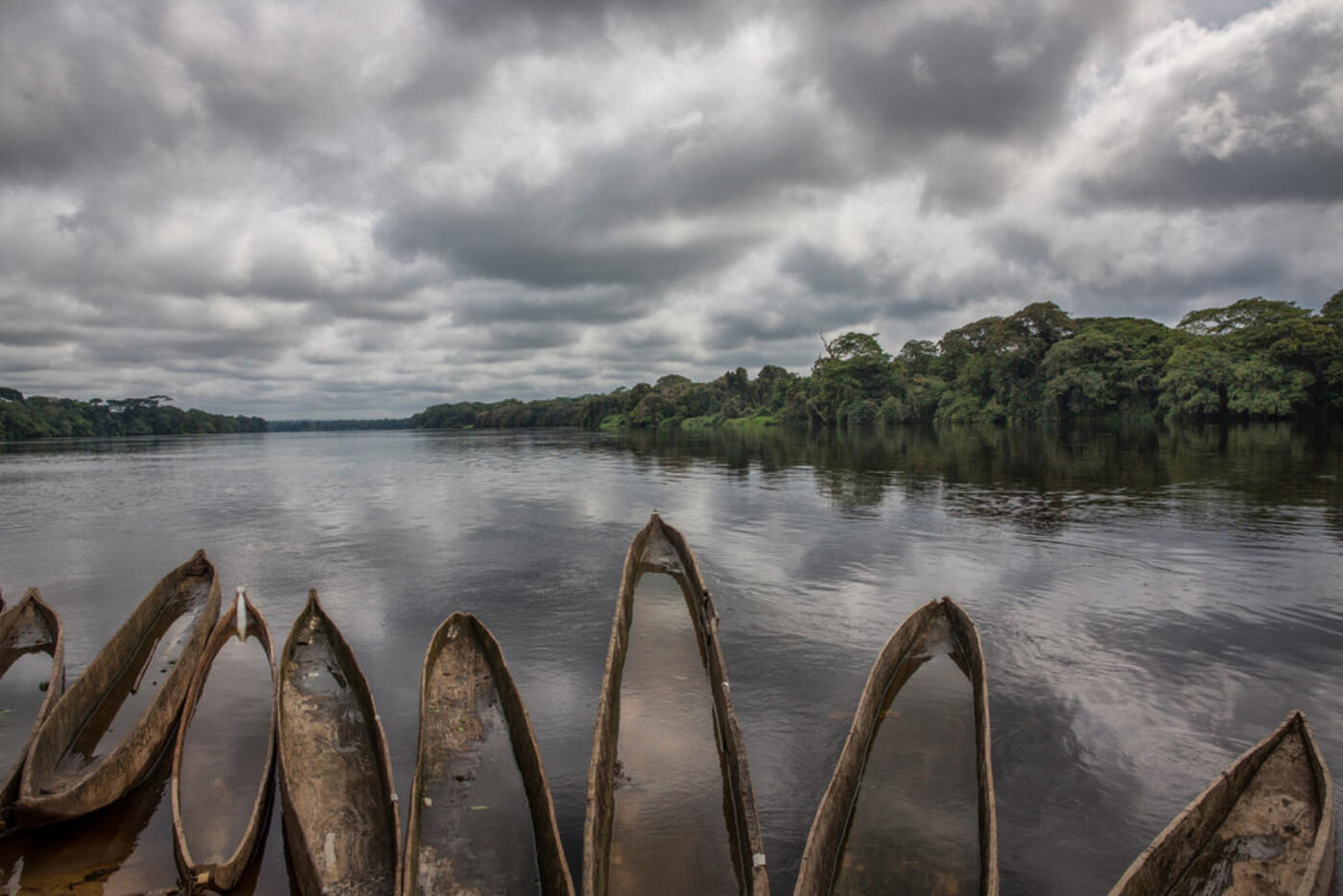 Le parc - Salonga National Park – Salonga National Park