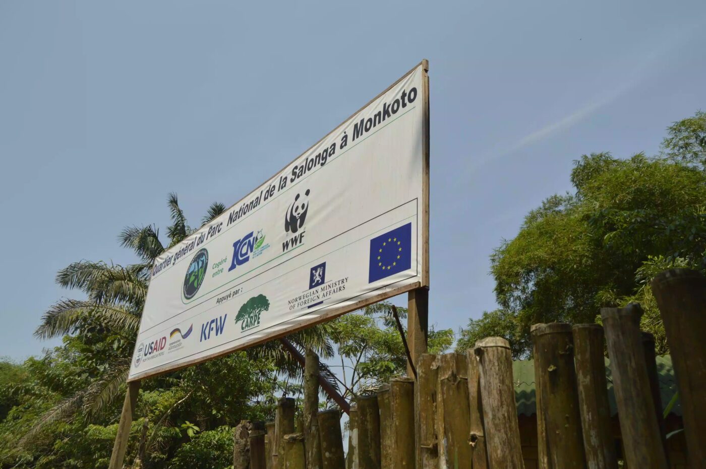 Our Work - Salonga National Park – Salonga National Park