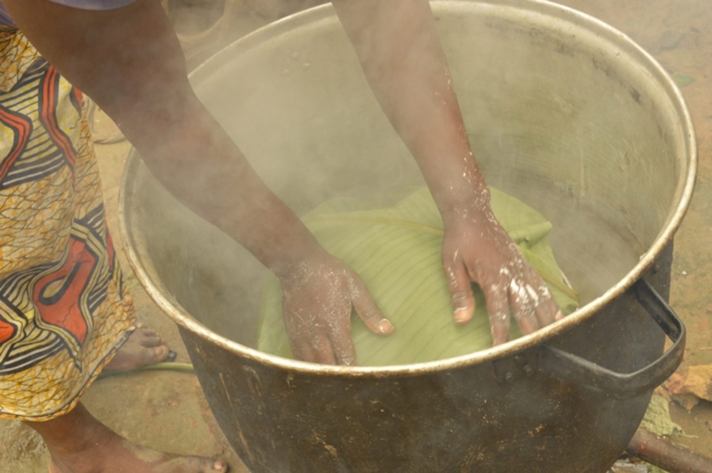 Chikwangues and the conservation of Salonga National Park - Salonga ...