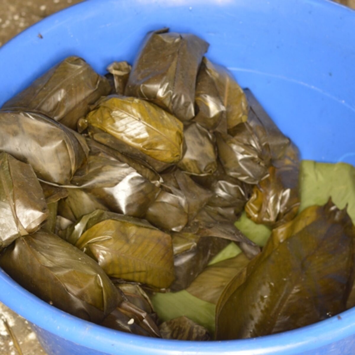 Chikwangues améliorées et conservation de la Salonga - Salonga National ...