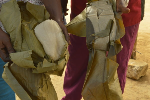 Chikwangues and the conservation of Salonga National Park - Salonga ...