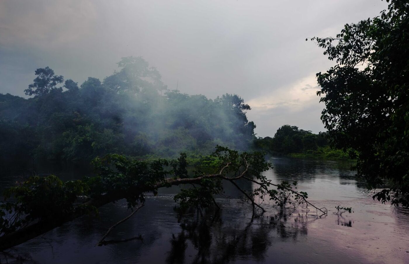 The Park - Salonga National Park – Salonga National Park