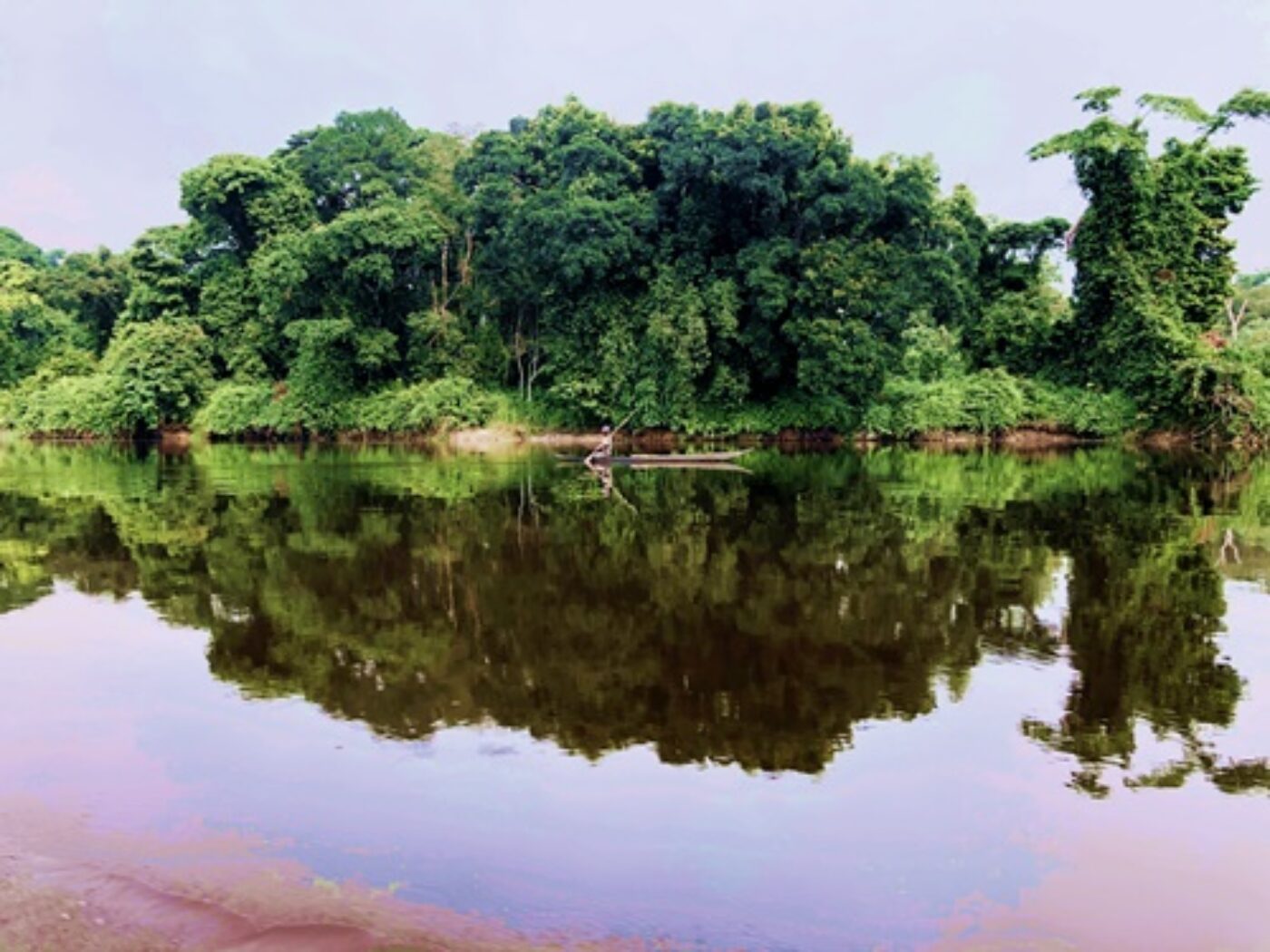 Homepage - Salonga National Park – Salonga National Park