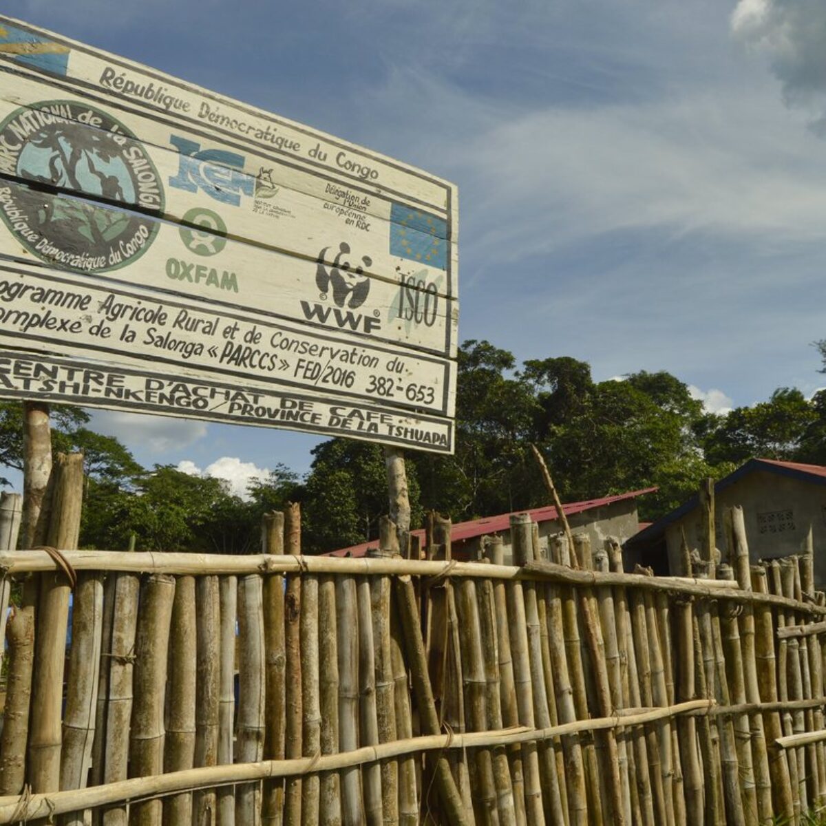 Opening of a coffee center in Watsikengo - Salonga National Park ...