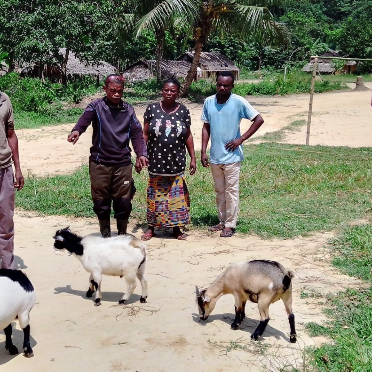 Elevage, agriculture et pêche durables comme leviers de bien-être ...