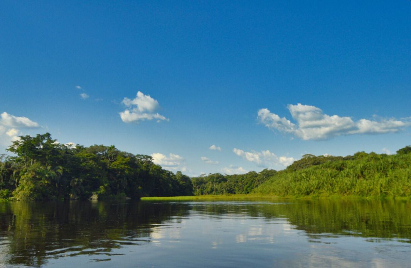 Homepage - Salonga National Park – Salonga National Park